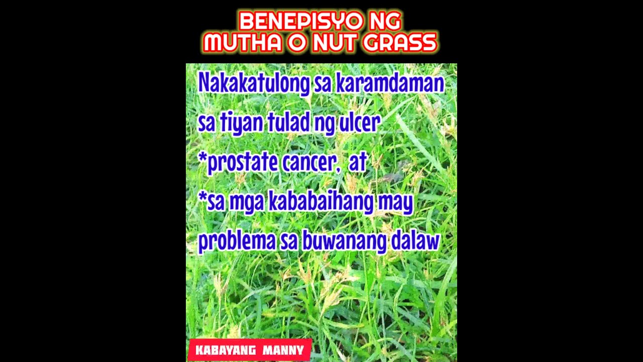 Benepisyo ng Mutha o Nut Grass - YouTube