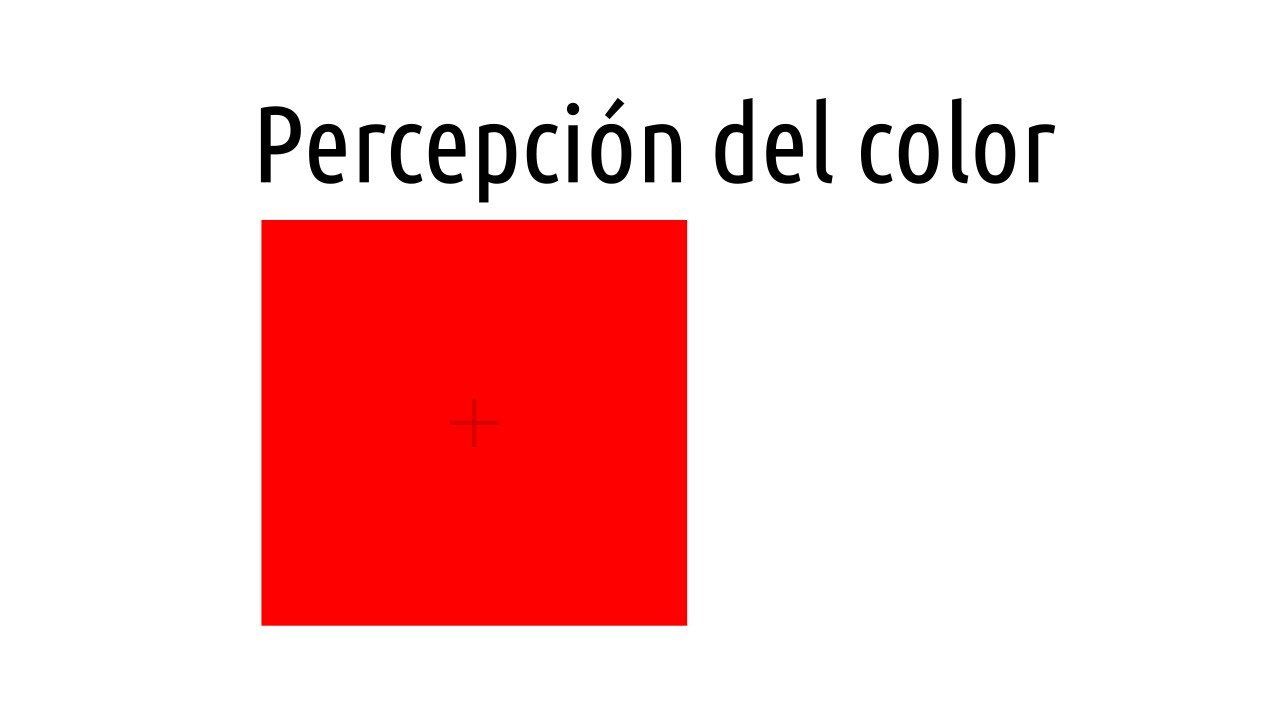 Percepción del color - YouTube