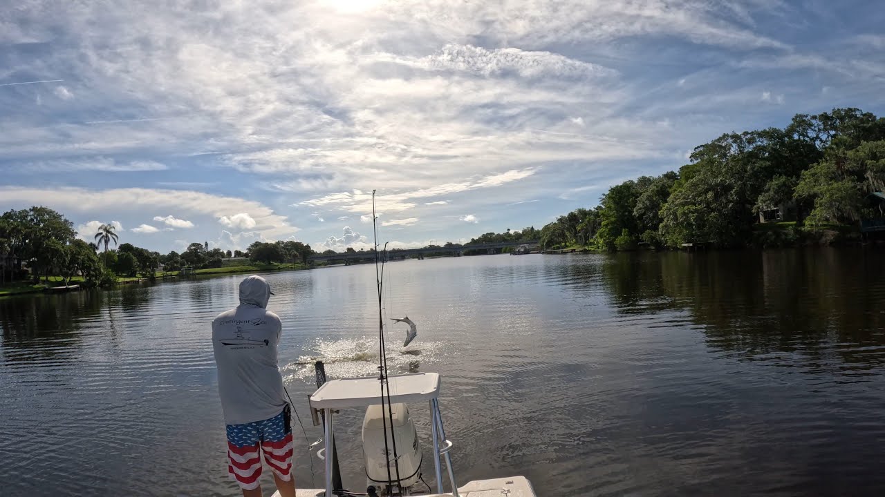 Tarpon Fishing With Live Finger Mullet - YouTube