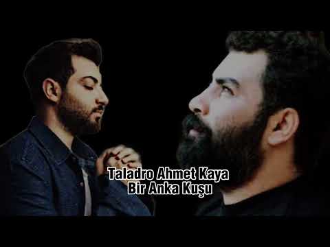 Taladro Ahmet Kaya Bir Anka Kuşu