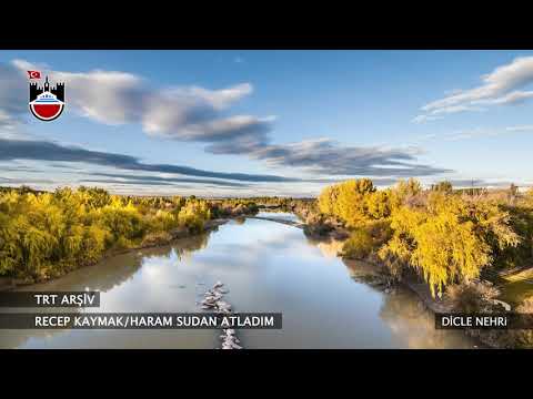 Diyarbakır Türküleri-Recep Kaymak-Haram Sudan Atladım-(TRT Arşiv)