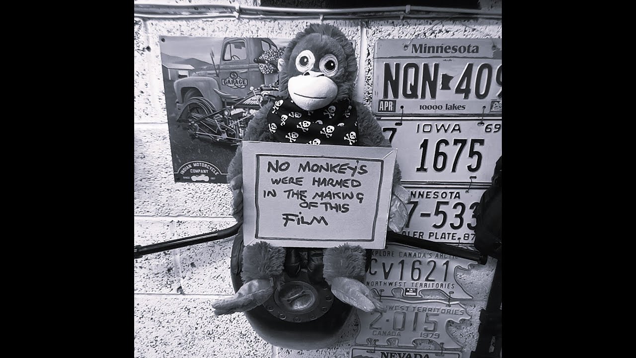 NOB END THE MOVIE . - YouTube