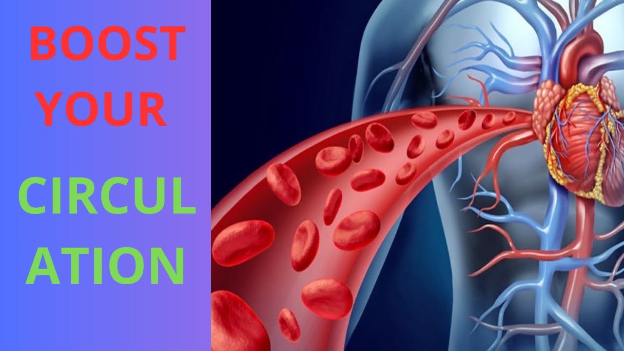 How to Improve Blood Flow and Circulation! Heart, Arteries, Legs, and ...