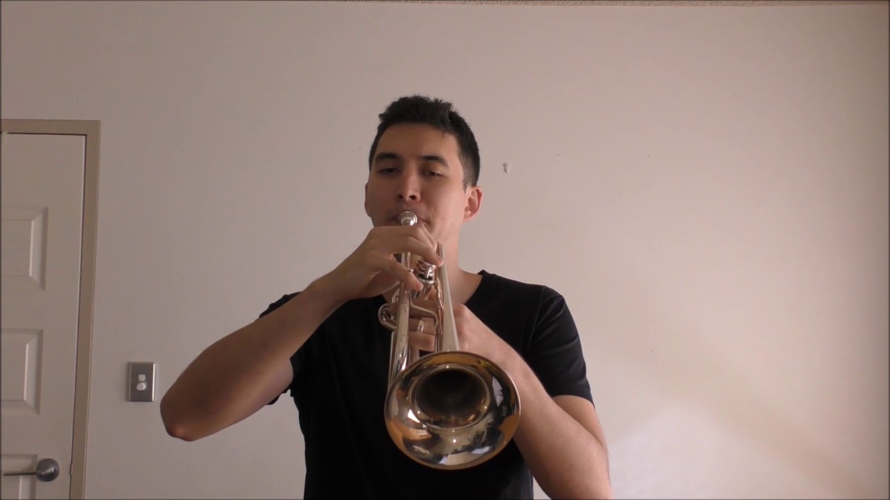 Royal March of the Lion (Trumpet) - YouTube