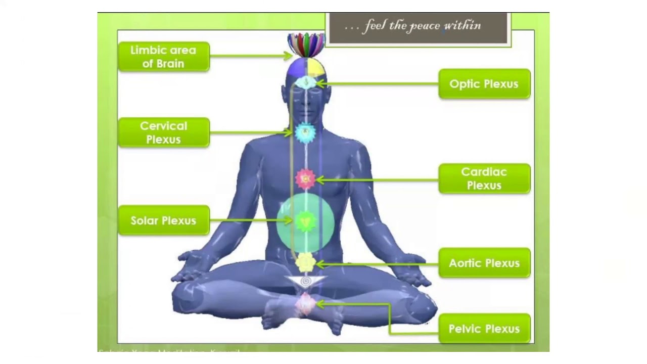 Learn & Meditate on Nabhi Chakra (GUIDED CHAKRA Workshop + SHRI MATAJI ...
