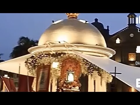 Procession Viva EL Divino Rostro 🙏Viva La Virgen 🙏 - YouTube