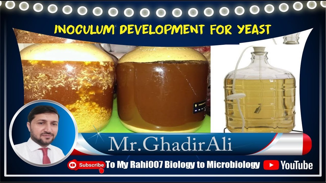 Inoculum Development for Yeast - YouTube