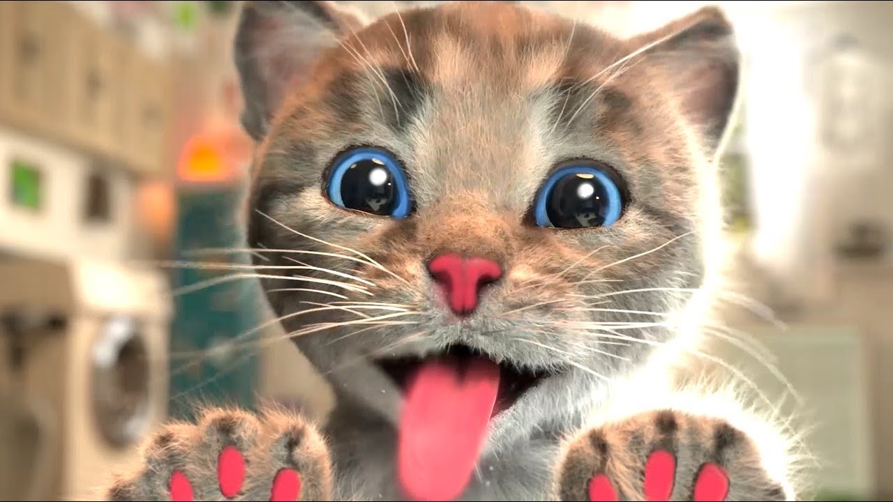 Animated Little Kitten Cute Kitten Cat Adventure - Best Educational ...