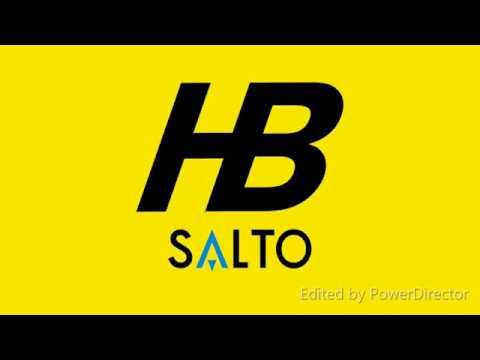 Salto Local IO Bridge - YouTube