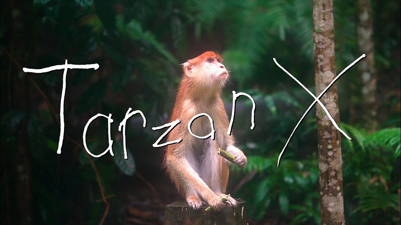 Tarzan X - YouTube