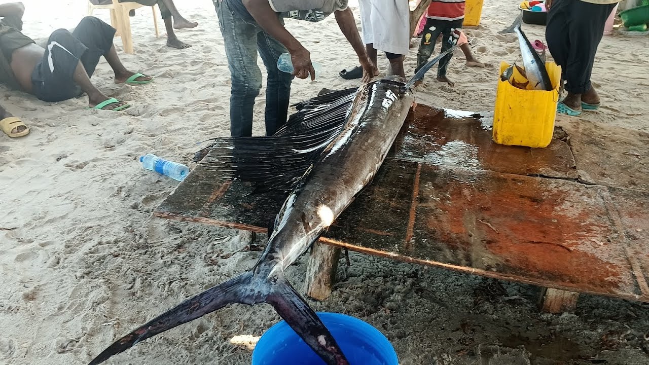 MNADA WA SAMAKI MBWENI..SIKILIZA BEI - YouTube