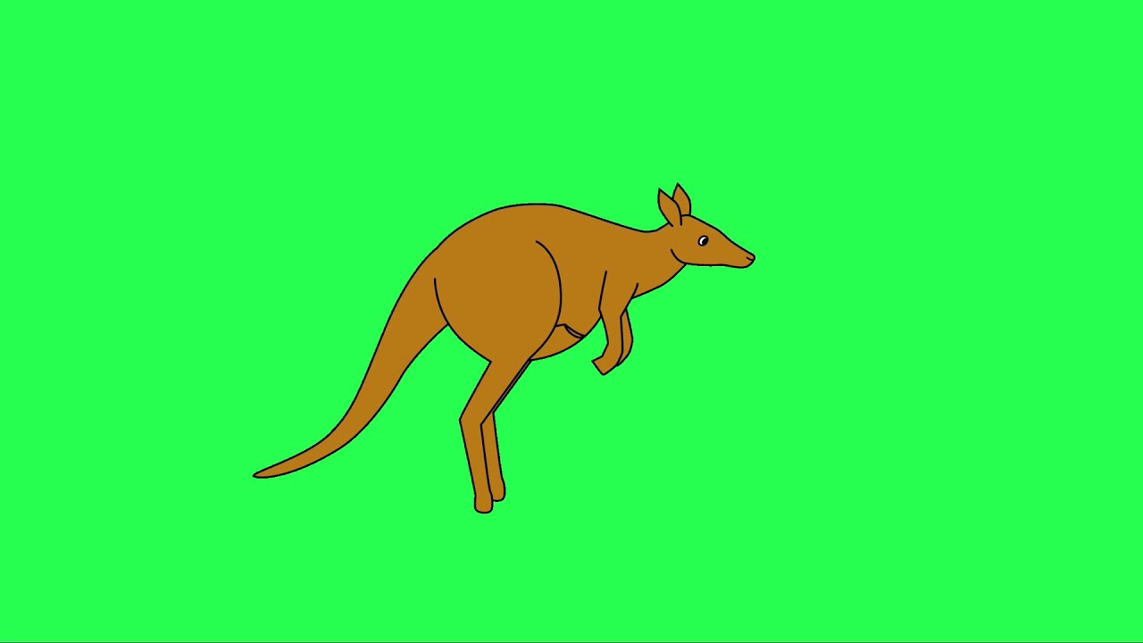 Kangaroo Animation Green Matte | Kangaroo Animal Green Screen | Chroma ...