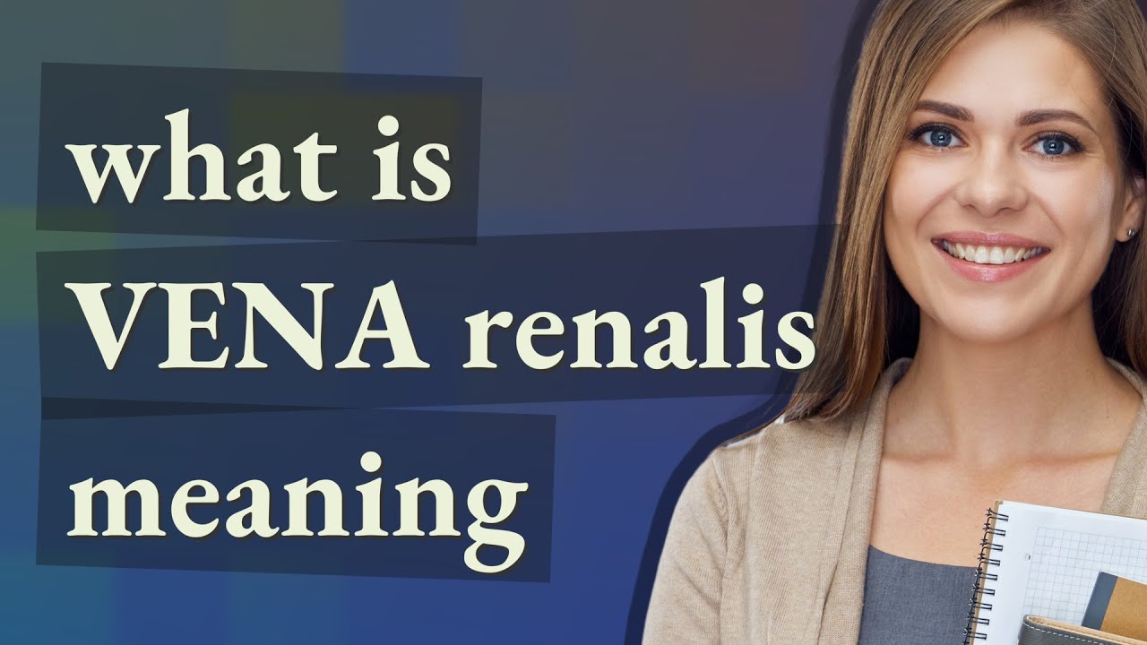 Vena renalis | meaning of Vena renalis - YouTube