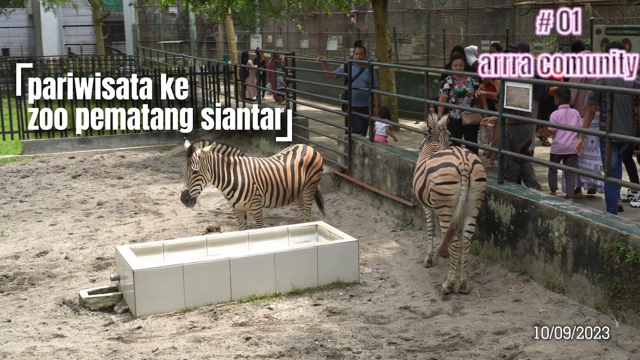 wisata kebun binatang (ZOO) pematang siantar | ARRA COMMUNITY - YouTube