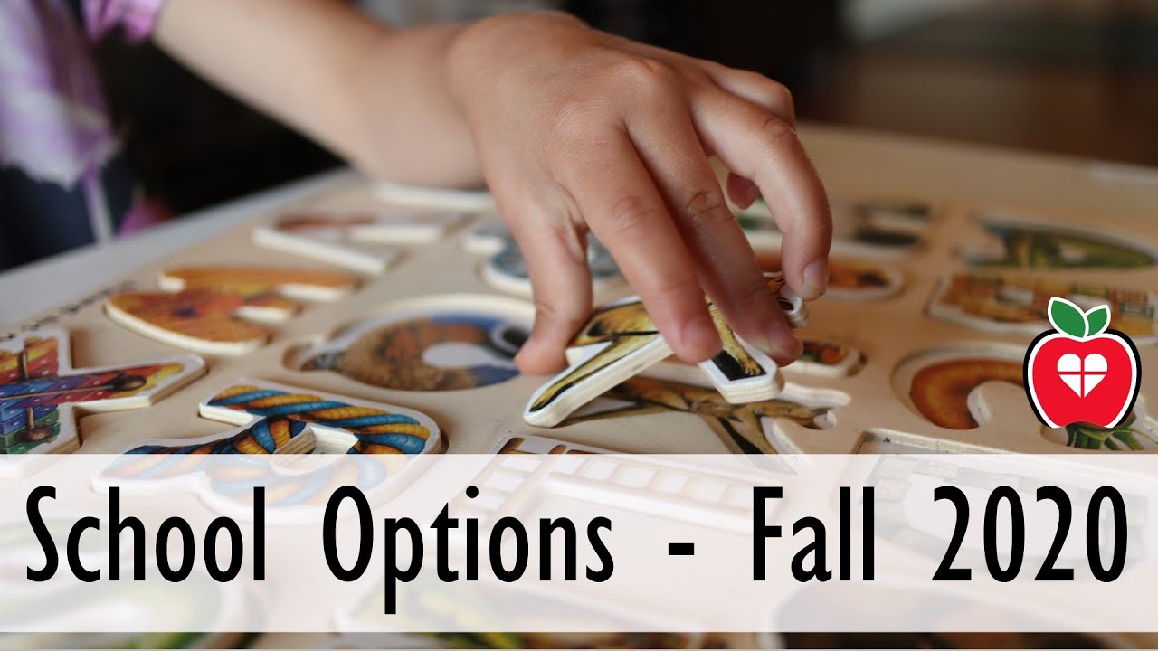 CDC Guidelines - What Are My Schooling Options? - YouTube