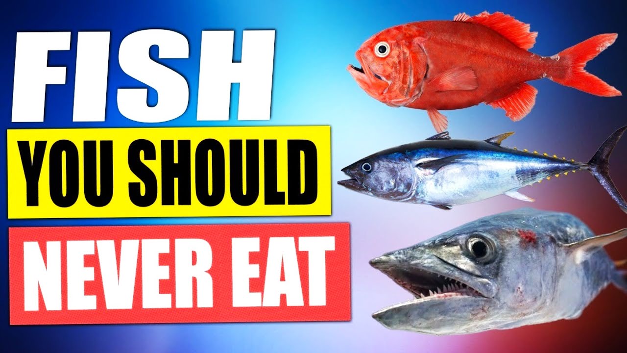 STOP Eating These Types of FISH Now! | Home Nutrition - YouTube