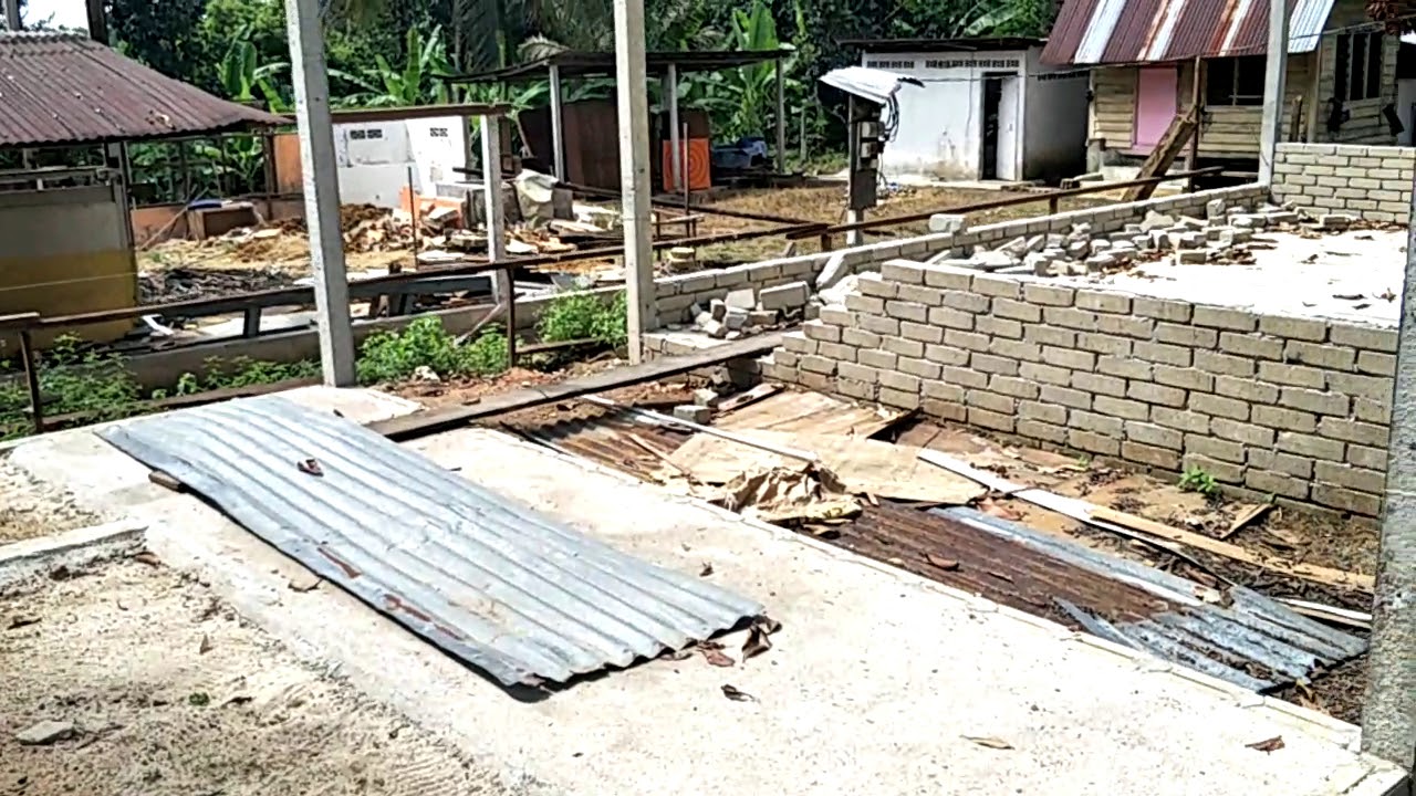 Monkey Jk Shaki Arrive at my Village and having lunch - YouTube