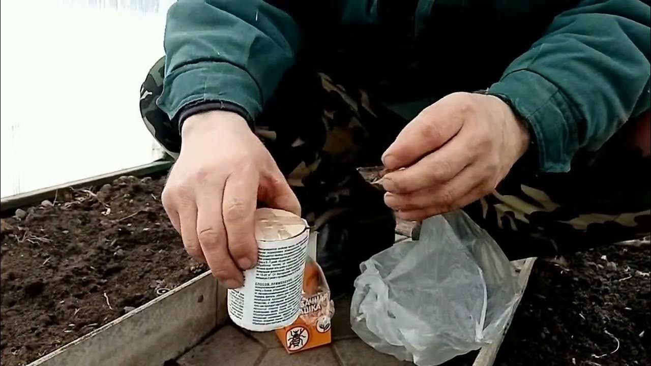 Как я использую табачную шашку - YouTube
