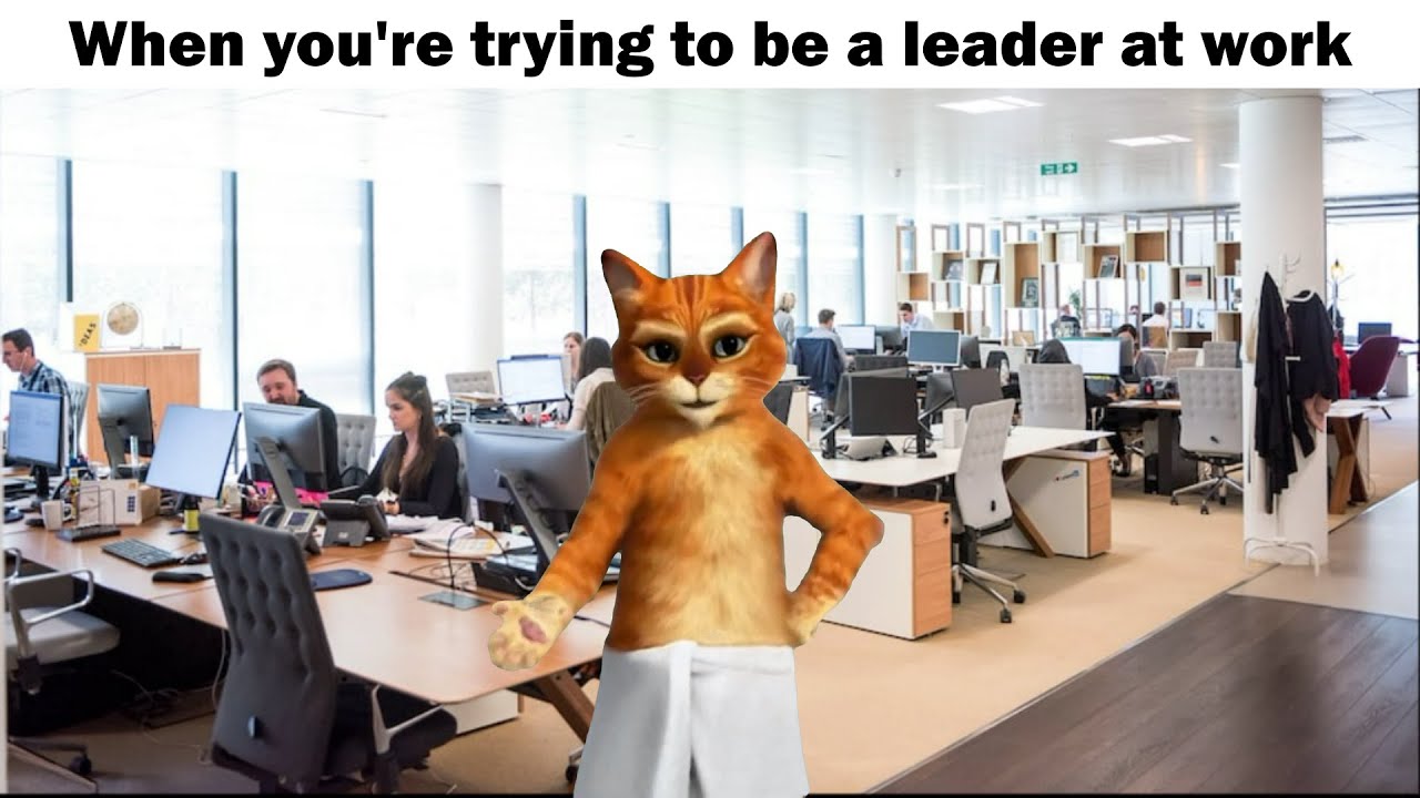 When you're trying to be a leader at work. Puss in boots meme - YouTube