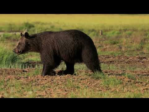 Natural Beauty of Russia