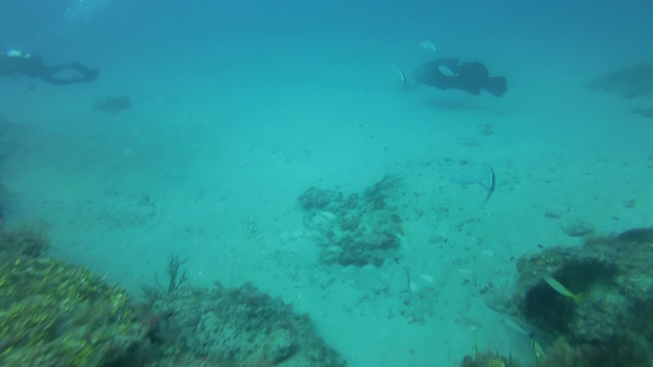 Jupiter Scuba Diving - Tunnels Swim Through - 5/26/17 - YouTube