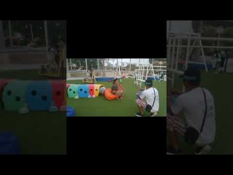 Meraki Garden @Reina Mercedes Isabela PART 2 - YouTube