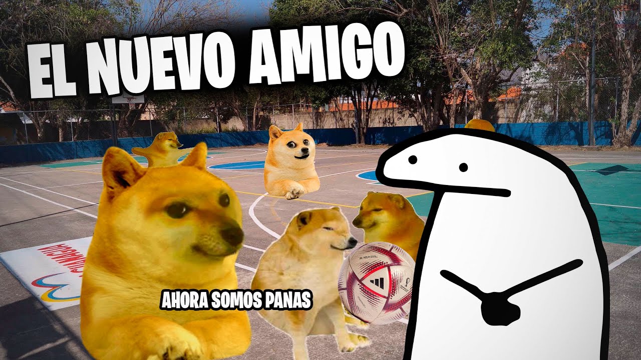 El Nuevo Amigo | Flork & Cheems #1 - YouTube