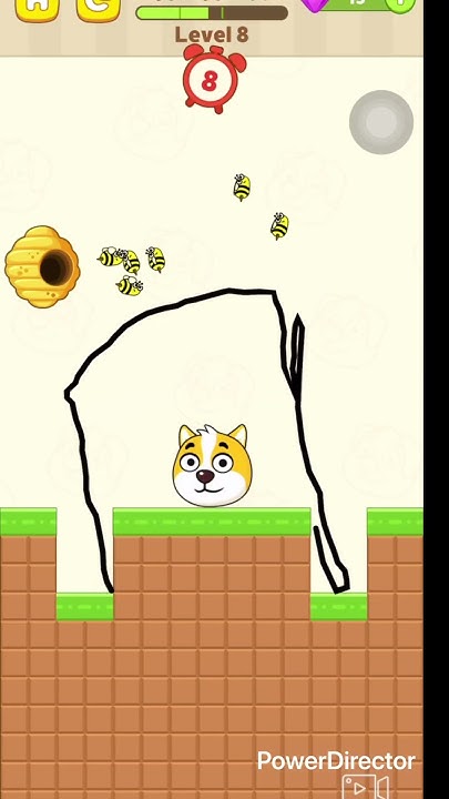 Dog game - YouTube