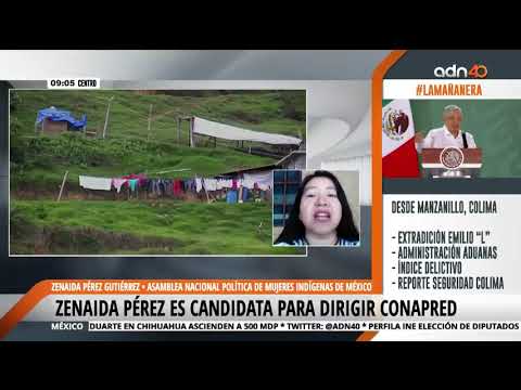 Zenaida Pérez, candidata a titularidad del Conapred - YouTube