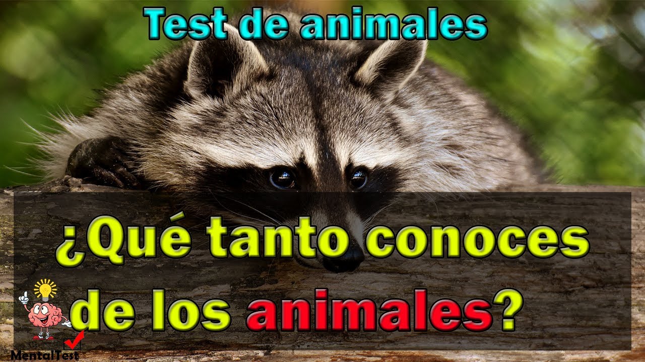 ¿Qué tanto conoces de los animales? | Test de animales - YouTube