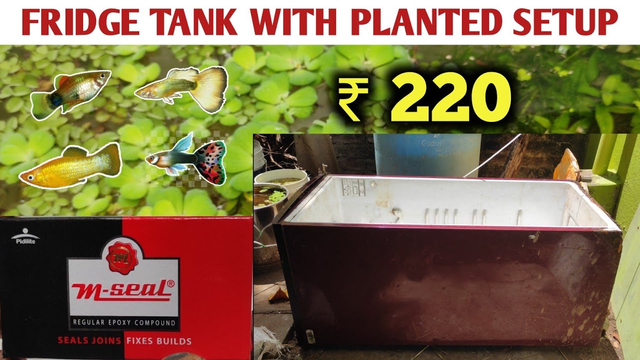 How to make fridge box as fish tank | Fridge as aquarium | Tamil - YouTube