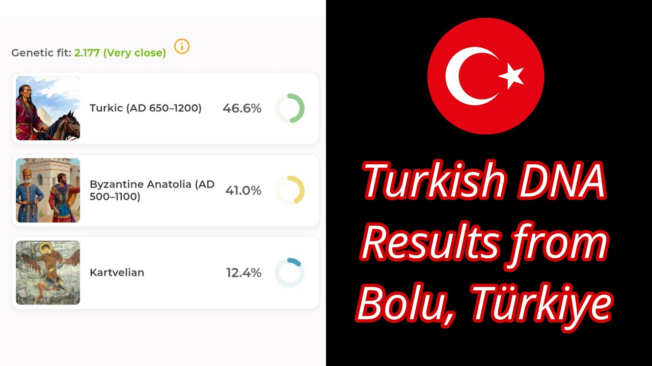 Turkish DNA Results from Bolu 🇹🇷 | %46.6 Medieval Turkic | ILLUSTRATIVE ...