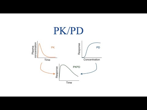 Overview of PK-PD relationship / Drug Dynamic - YouTube