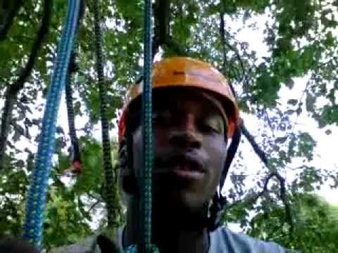 Conquer Your Fear of Falling For Beginner Tree Climbers DRT - YouTube