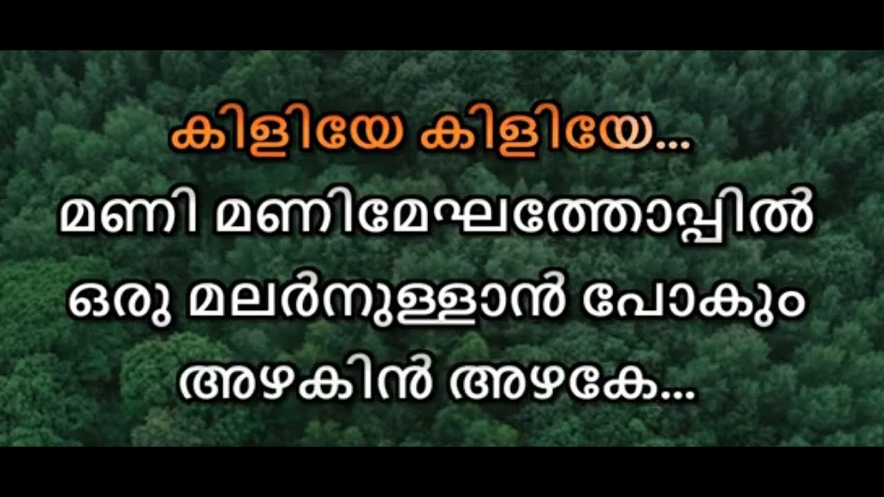 Kiliye Kiliye Karaoke With Lyrics - Aa Rathri Malayalam - YouTube