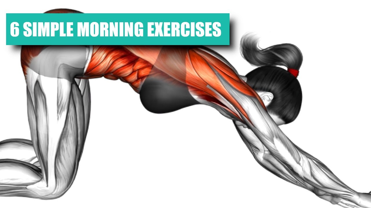 Start Your Day Right 6 Simple Exercises For A Healthy Morning Routine ...