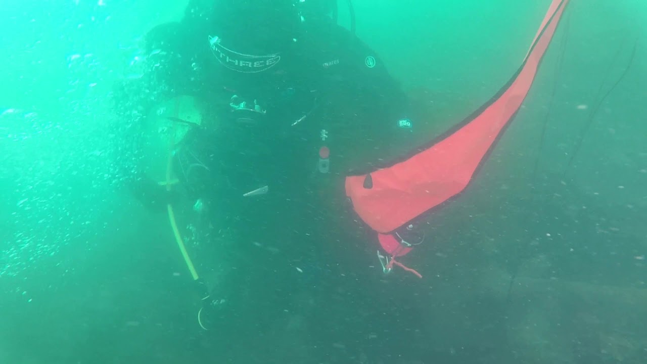 Seamus Campbell Scuba DIVING in Ireland Carlingford Lough - YouTube