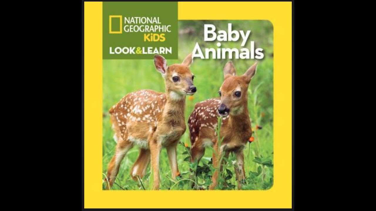 National Geographic Baby Animals