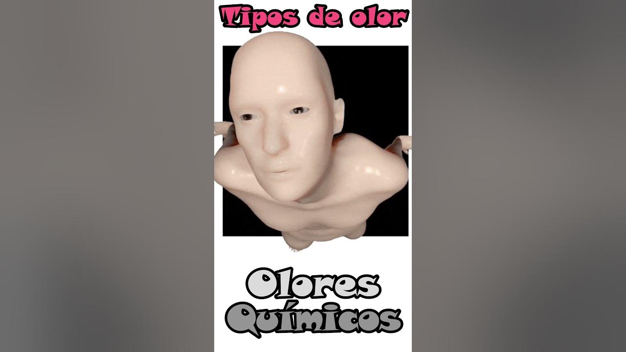 Tipos de olores - YouTube