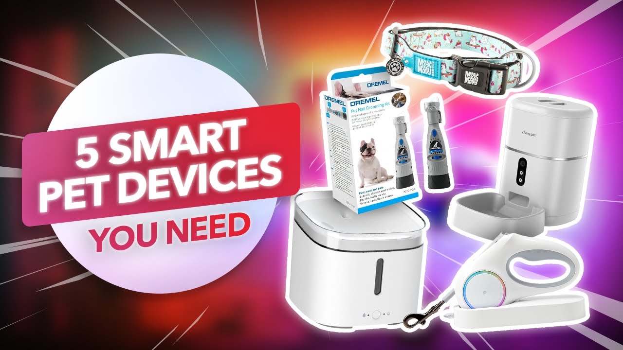 Must-have smart devices for pets and furparents! - YouTube