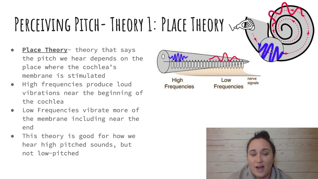 Frequency Theory Psychology