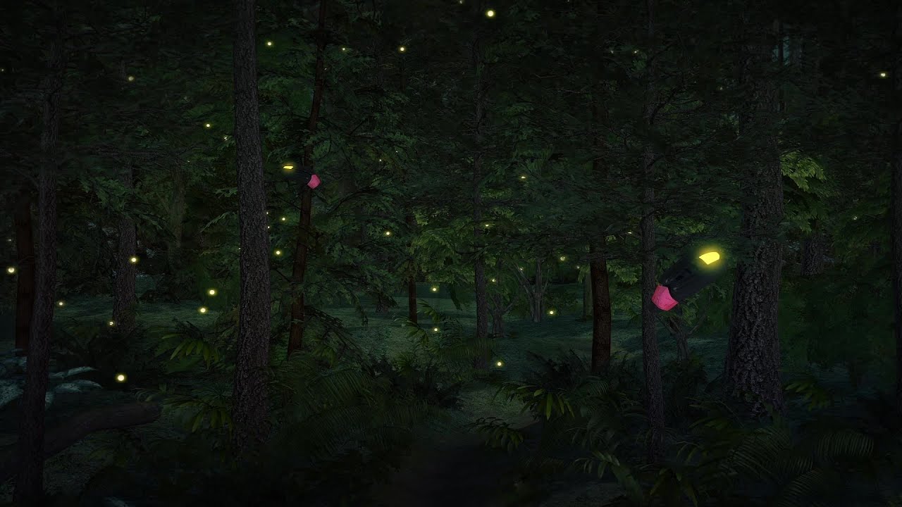 Fireflies threatened by artificial light: Study - YouTube