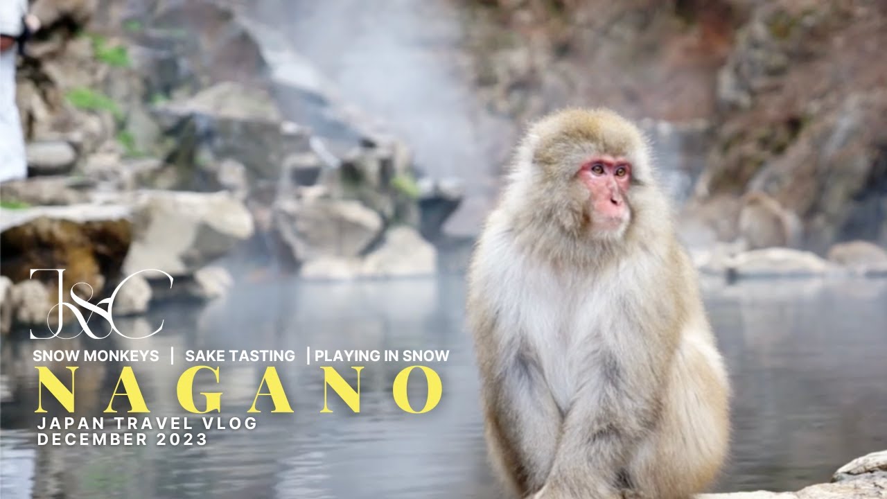 Exploring Nagano -- Snow Monkeys, Sake Tasting, and Snowballs - YouTube
