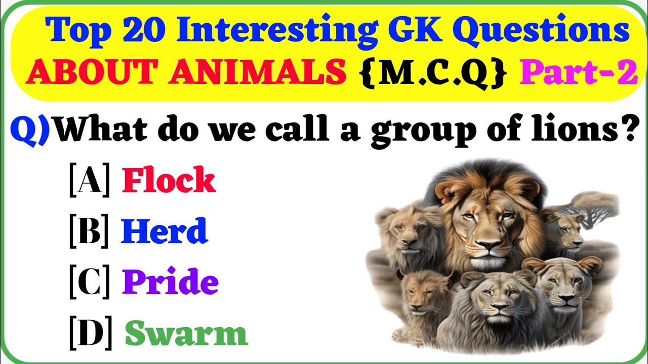 Interesting GK Questions About Animals ll Part - 2 ll GK in English ll ...