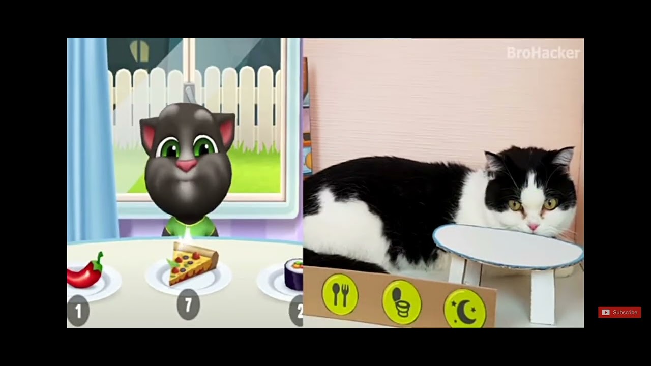 My Talking Tom - YouTube