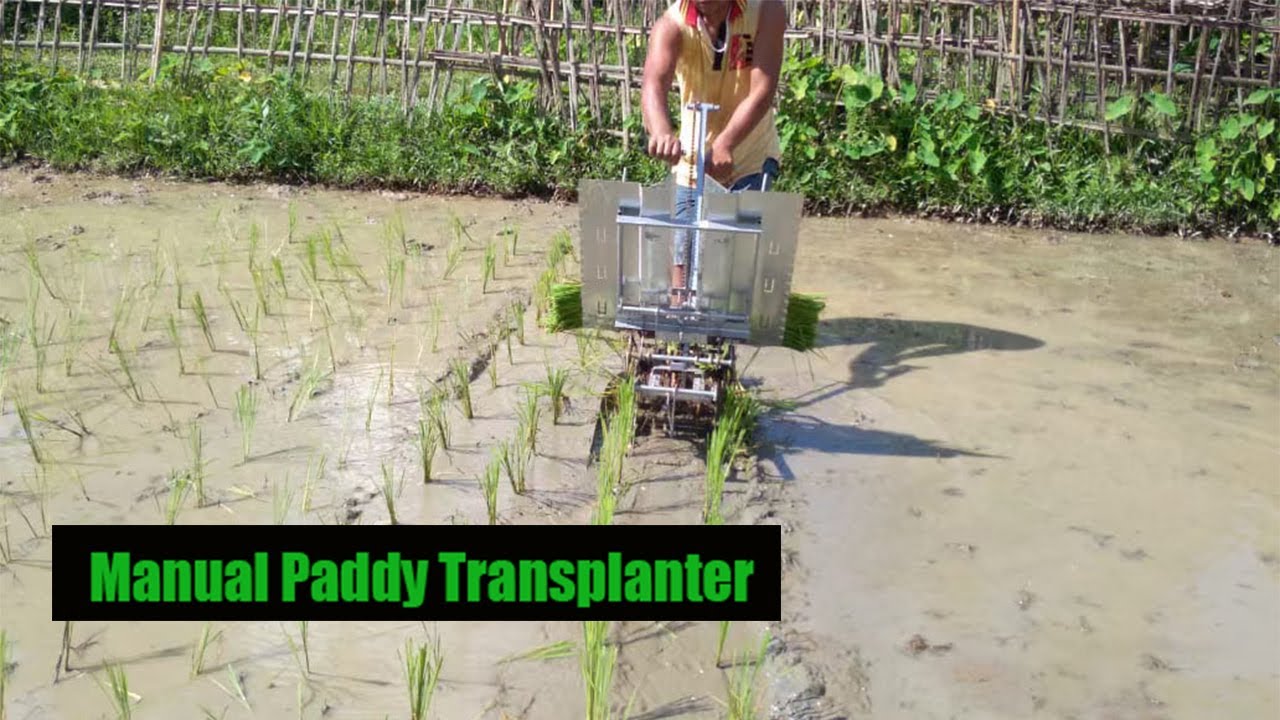 Manual Paddy Transplanter | Manual Rice Transplanter supplier from ...