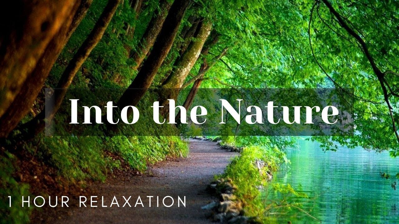 Into the Nature - YouTube