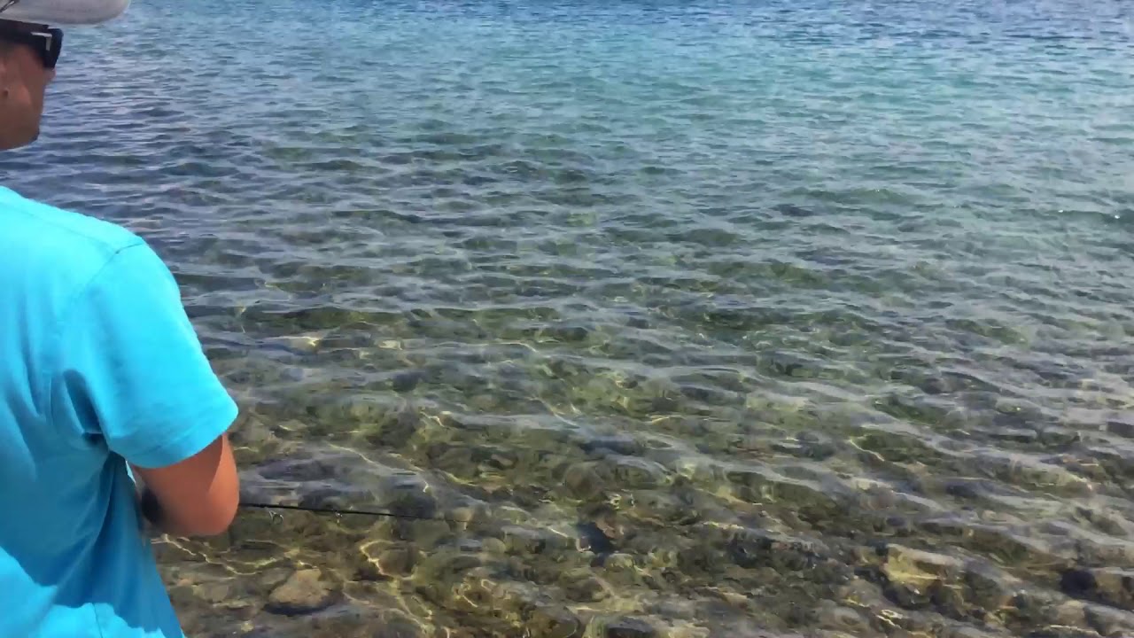 Ενα μικρο λαβρακι σε ποπερακι! - YouTube