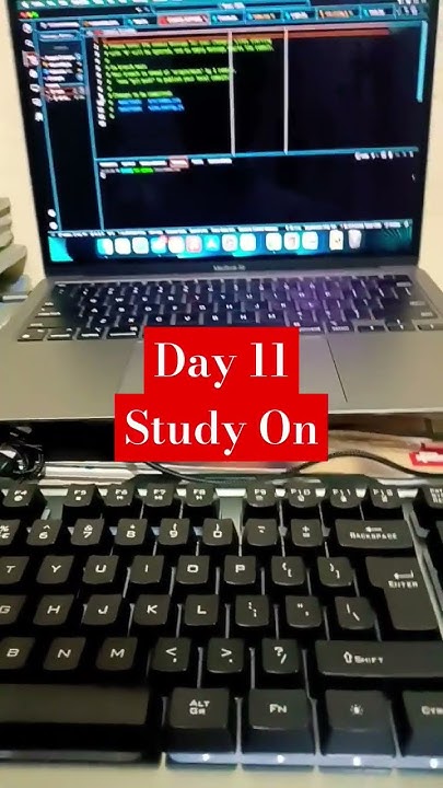 Day 11 My Full stack Web developer Journey #flstudio #fullstackdeveloper #fullstackdev #devlife ...