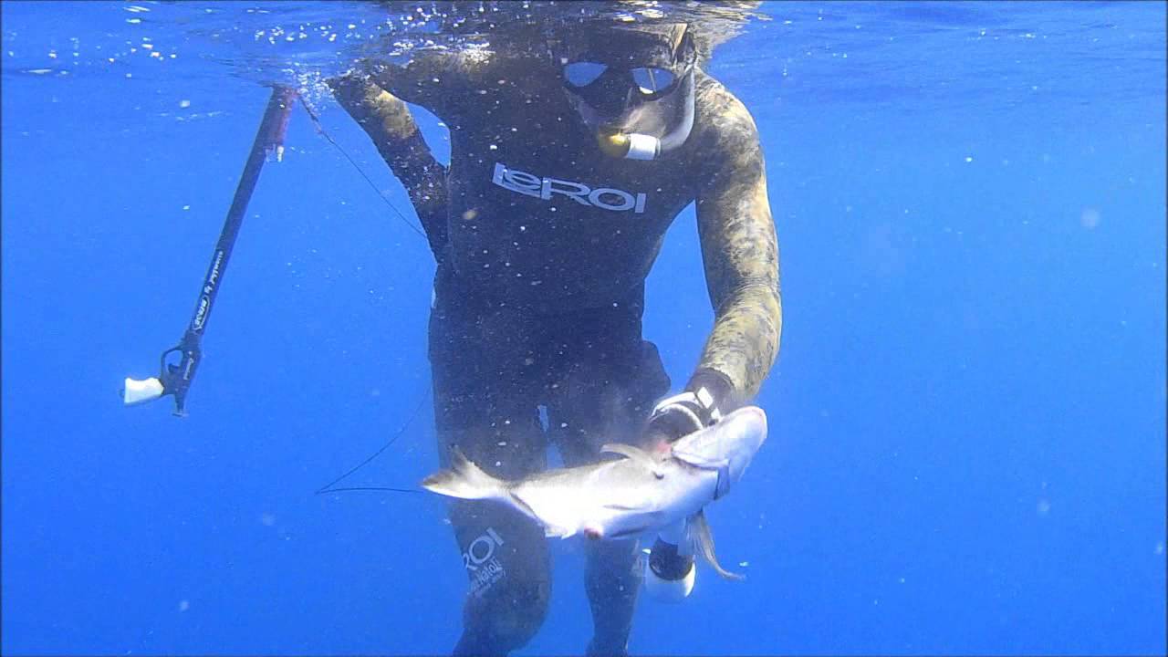 Assoluto Pesca in Apnea 2013 Terrasini _ Riprese Subacquee 1a - YouTube